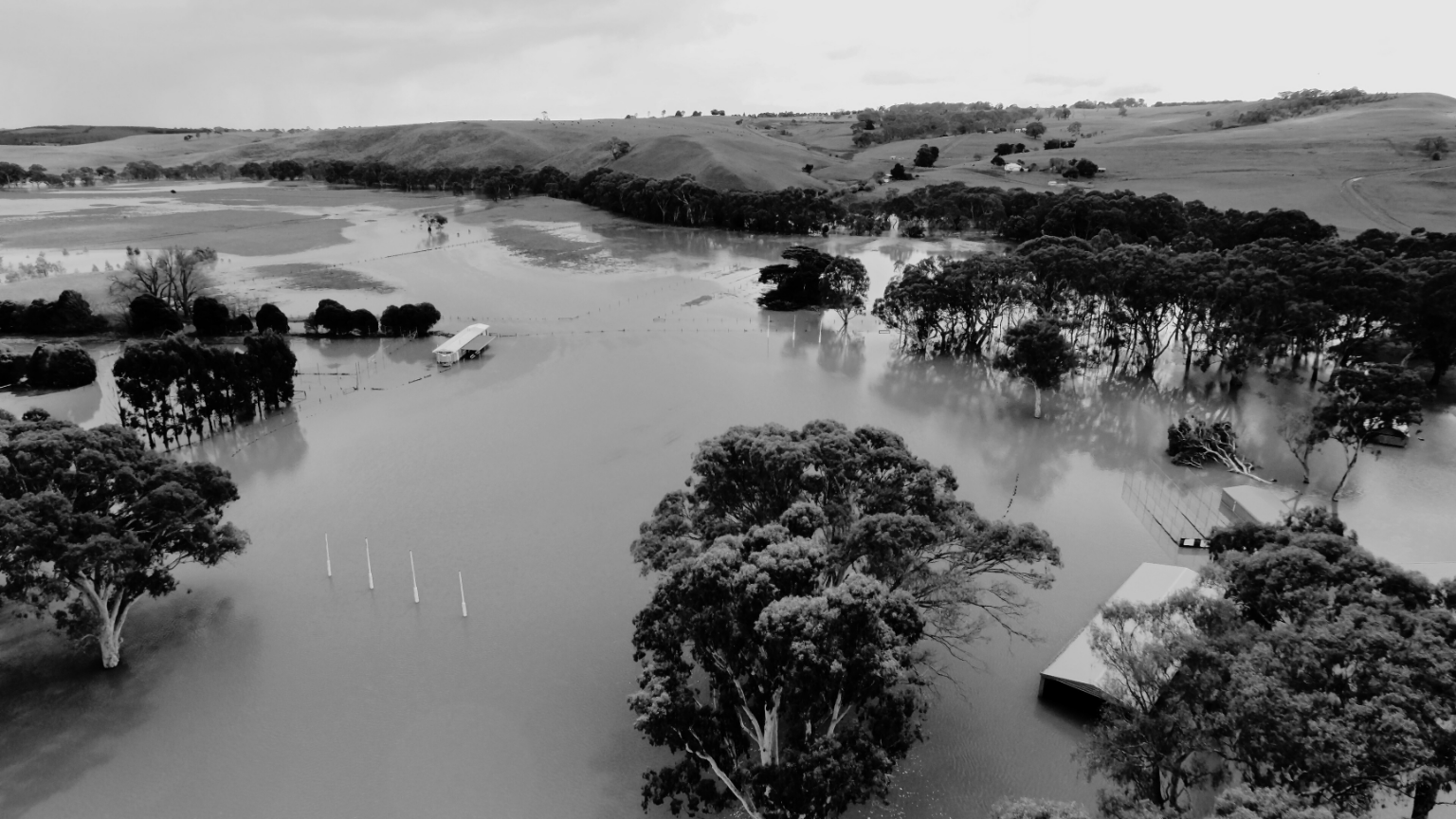 Event Response | McKenzie Intelligence Services